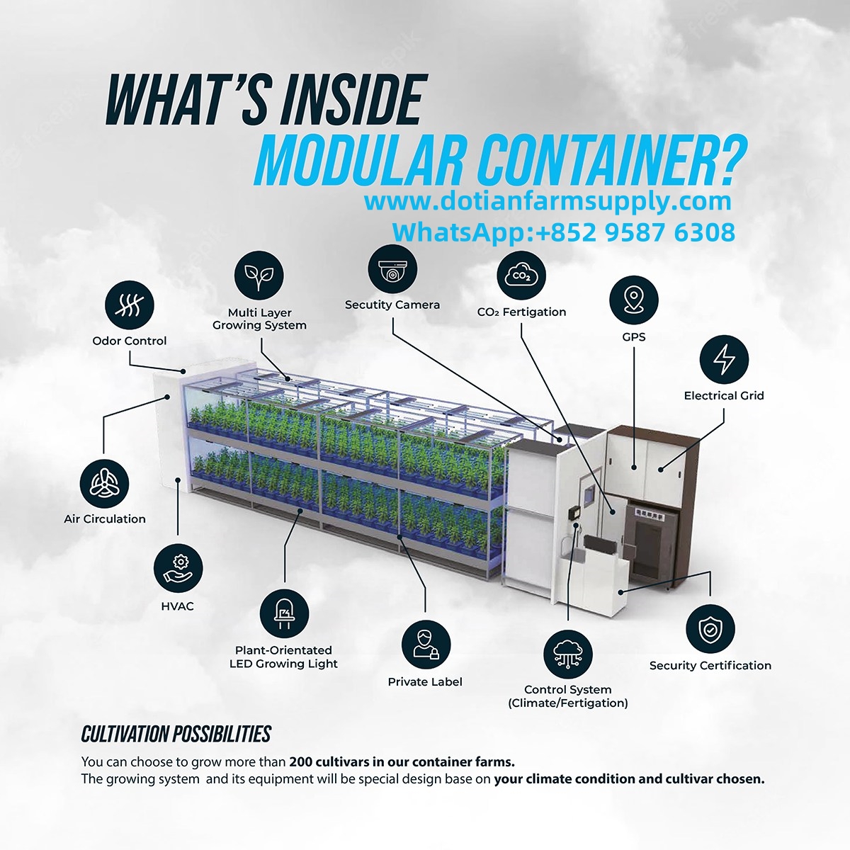 Container Farm-Organic Vegetable - DOTIAN FARM SUPPLY